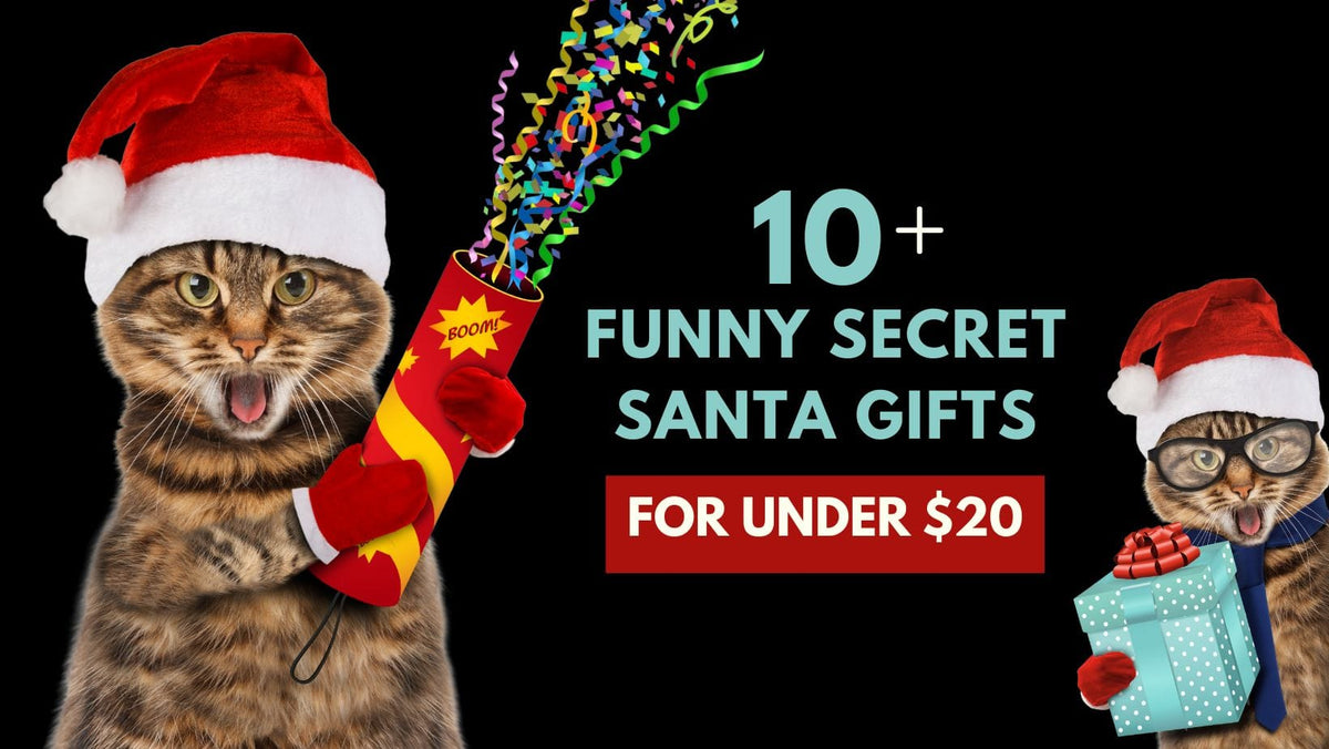 🎁Secret Santa Gift Ideas Under $20 🎄 - The Inappropriate Gift Co