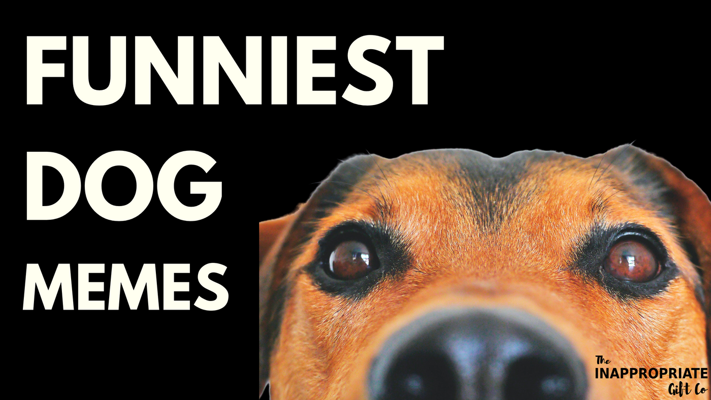 Funniest Dog Memes - The Inappropriate Gift Co