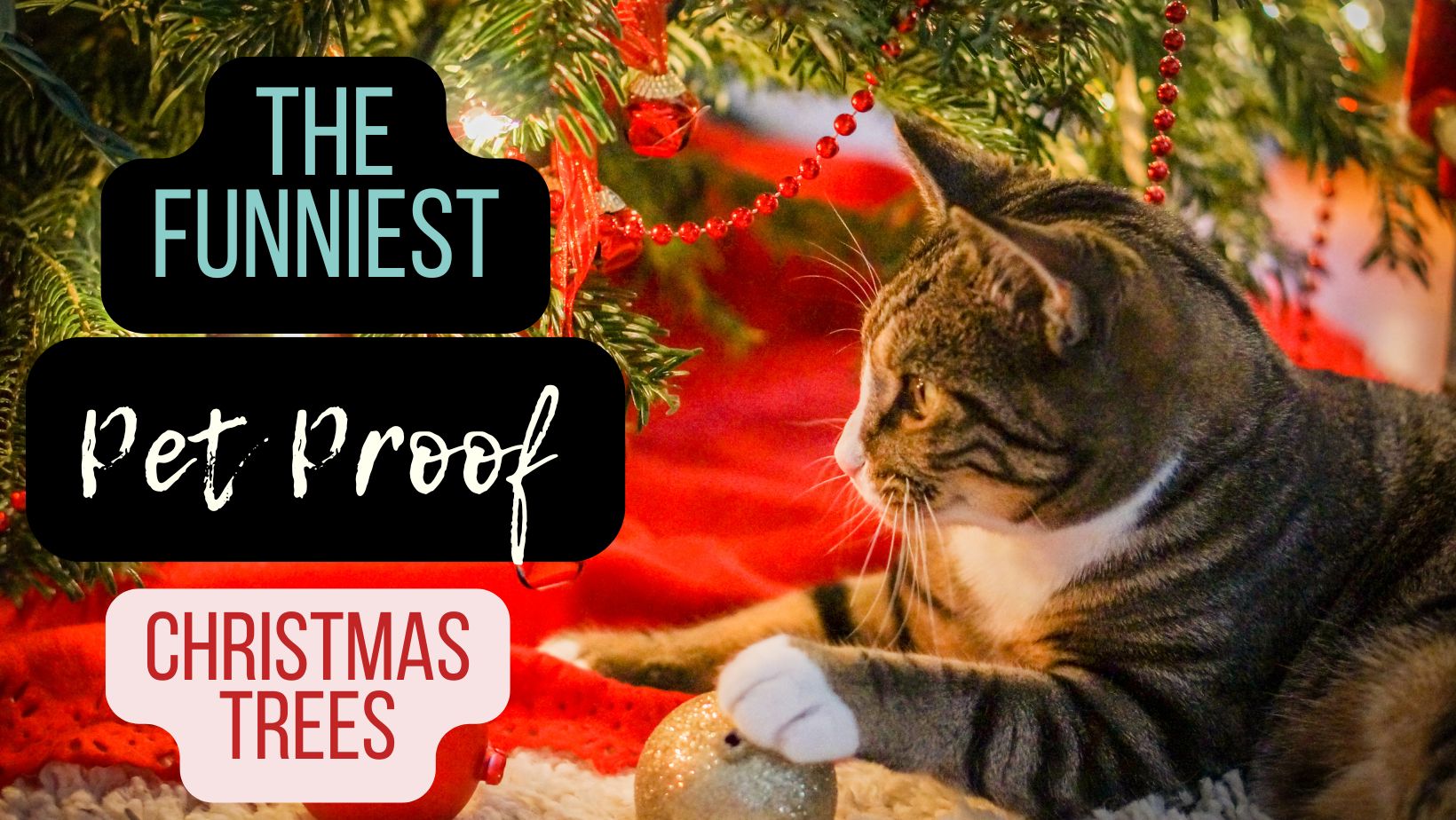 Our Favourite 30 XMAS MEMES of 2022 - The Inappropriate Gift Co