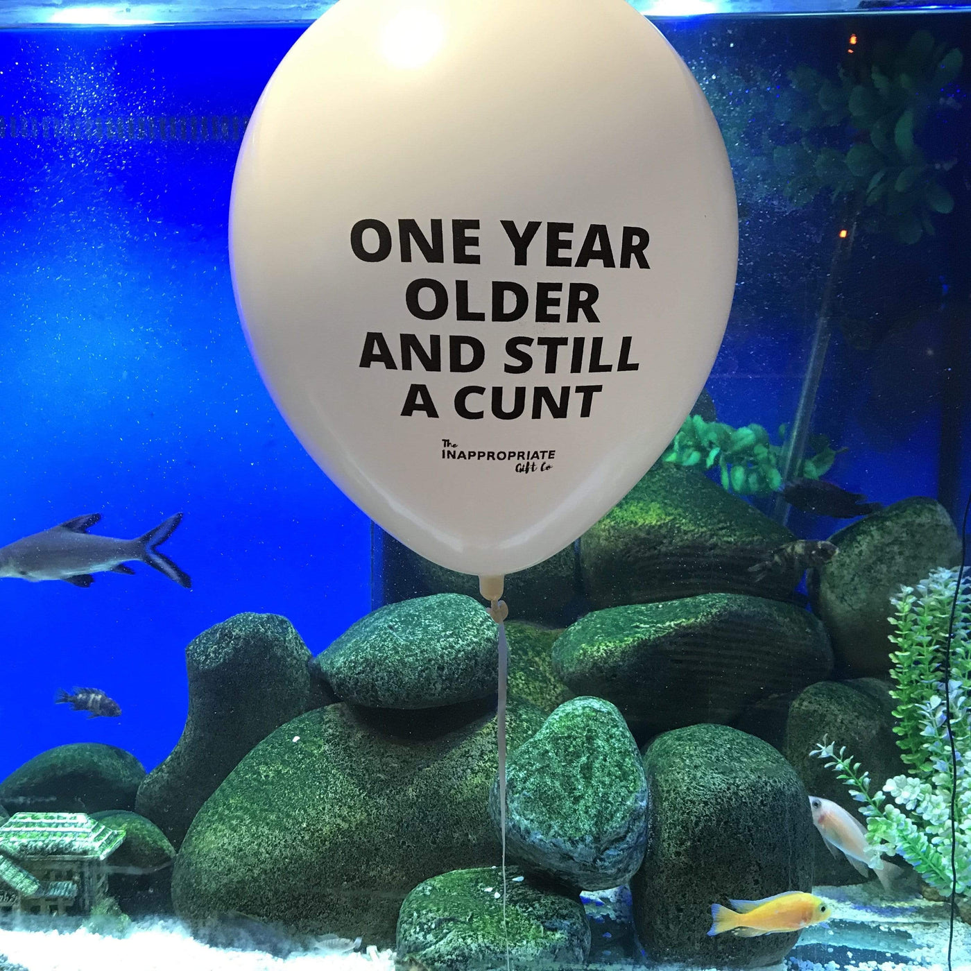 The Inappropriate Gift Co | Funny Gifts Australia