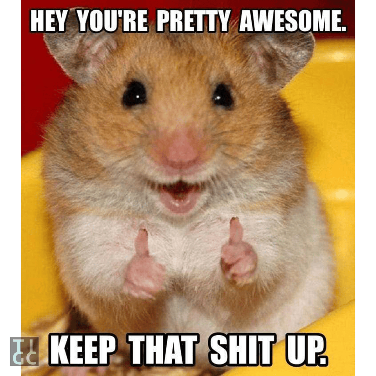 You're awesome, keep that shit up Mouse Pad - The Inappropriate Gift Co